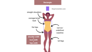 Body Shapes Explained – Everything you need to know - The Princientist