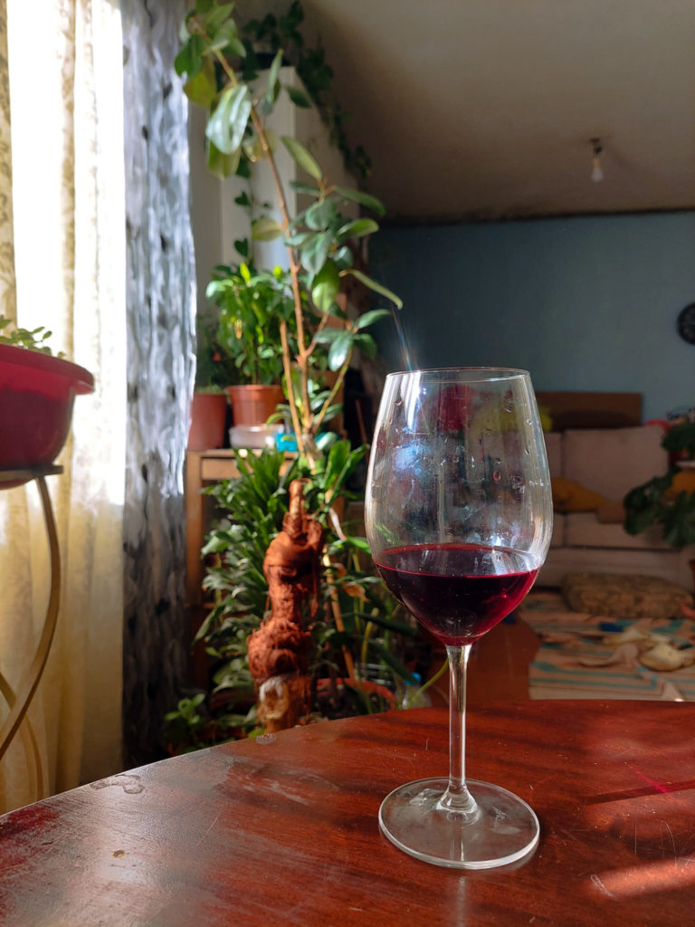 At home Photography – 6 Useful Tips For Fantastic Photos - The Princientist