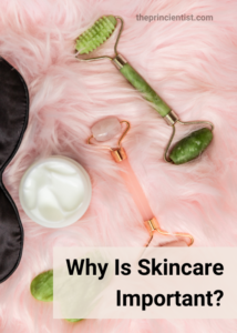 What is Skin? All You Need To Know - The Princientist