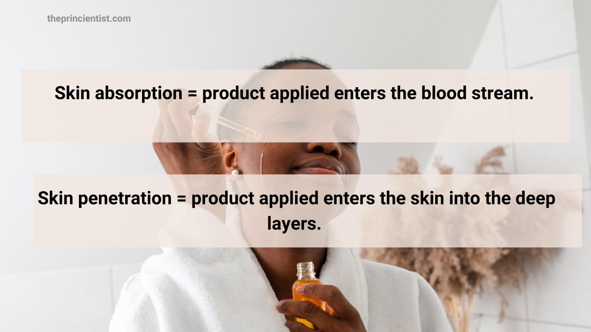 What is Skin? All You Need To Know - The Princientist